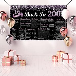 Vlipoeasn Sweet 16 Birthday Decorations for Girls, Purple and Black Glitter Back in 2007 Birthday Backdrop Banner, 70.86 x 43.3Inch Pink 16 Years Old Party Poster Supplies