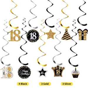 18th Birthday Party Decorations, 18th Birthday Party Hanging Swirls Ceiling Decorations Shiny Celebration 18 Hanging Swirls Decorations for 18 Years Old Party Supplies, 30 Count