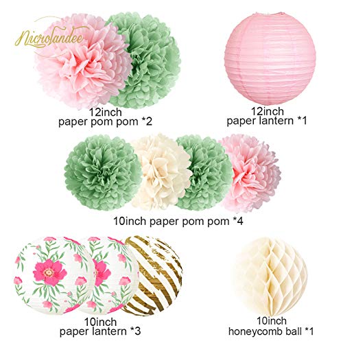 NICROLANDEE 12PCS Green Pink Blooms Tissue Pom Poms Paper Lantern 3D Gold Confetti 50G for Garden Birthday, Fairy Party, Butterfly Baby Shower, Wedding, Holiday, Easte Party, Spring Decor