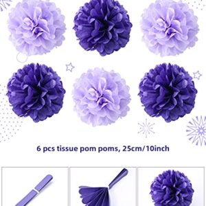 Auihiay 32 Pieces Purple Party Decoration Include Paper Fans, Tissue Paper Pom Poms, Circle Dot Garland and Tissue Paper Tassel for Birthday Wedding Baby Shower Bridal Shower Girls Women Party