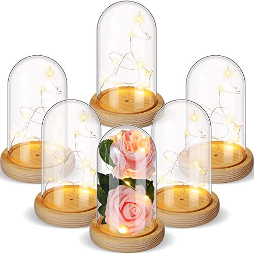 Remerry 6 Pieces Plastic Cloche Dome Plastic Dome Display Case with Rustic Wood Base and LED Fairy Light Jar for Rose Valentine's Day Wedding Tabletop Centerpiece Decoration, 6.5 x 3.7 Inch