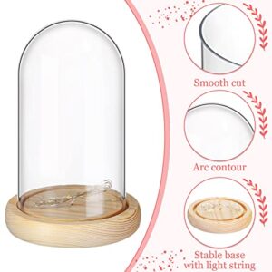 Remerry 6 Pieces Plastic Cloche Dome Plastic Dome Display Case with Rustic Wood Base and LED Fairy Light Jar for Rose Valentine's Day Wedding Tabletop Centerpiece Decoration, 6.5 x 3.7 Inch