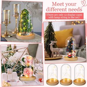 Remerry 6 Pieces Plastic Cloche Dome Plastic Dome Display Case with Rustic Wood Base and LED Fairy Light Jar for Rose Valentine's Day Wedding Tabletop Centerpiece Decoration, 6.5 x 3.7 Inch