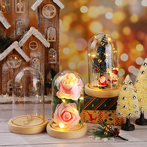 Remerry 6 Pieces Plastic Cloche Dome Plastic Dome Display Case with Rustic Wood Base and LED Fairy Light Jar for Rose Valentine's Day Wedding Tabletop Centerpiece Decoration, 6.5 x 3.7 Inch