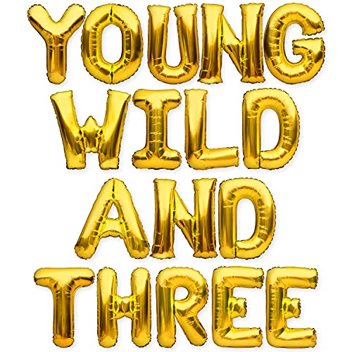 PartyForever Young Wild And Three Balloons Banner Gold Themed 3rd Birthday Party Decorations Sign