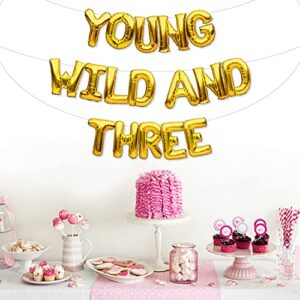 PartyForever Young Wild And Three Balloons Banner Gold Themed 3rd Birthday Party Decorations Sign