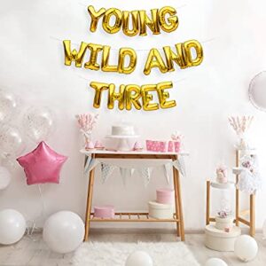 PartyForever Young Wild And Three Balloons Banner Gold Themed 3rd Birthday Party Decorations Sign