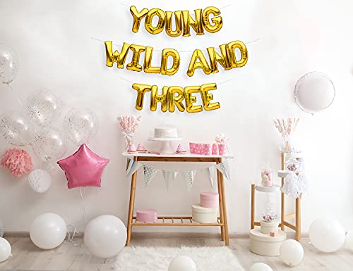 PartyForever Young Wild And Three Balloons Banner Gold Themed 3rd Birthday Party Decorations Sign