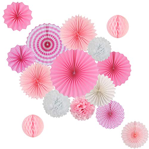 Hanging Party Decorations Set Tissue Paper Fan Paper Pom Poms Flowers and Honeycomb Ball for Wedding Birthday Baby Showers Engagement Party Decor Pink Kit