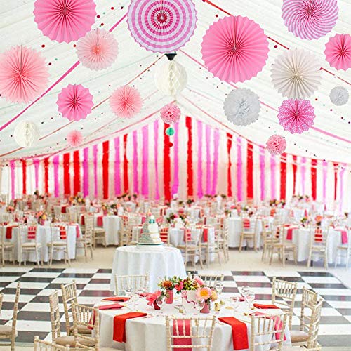 Hanging Party Decorations Set Tissue Paper Fan Paper Pom Poms Flowers and Honeycomb Ball for Wedding Birthday Baby Showers Engagement Party Decor Pink Kit