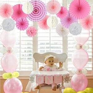 Hanging Party Decorations Set Tissue Paper Fan Paper Pom Poms Flowers and Honeycomb Ball for Wedding Birthday Baby Showers Engagement Party Decor Pink Kit