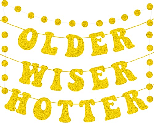 Older Wiser Hotter Banner Gold Glitter Funny Birthday Party Decorations 21th 30th 40th 50h 60th 70th 80th Birthday Party Disco HBD Party Photobooth Backdrop