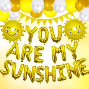 sunshine party decorations yellow birthday decorations sun party decorations sunshine birthday decorations you are my sunshine party decorations banner sunshine baby shower decorations sun balloon