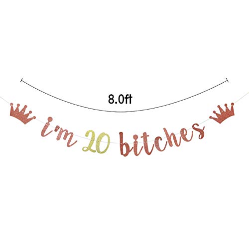 I'm 20 Bitches Banner, 20th Birthday Party Decor, Funny Twenty Years Old Birthday Banner, Girl's 20th Birthday Party Decorations (Rose Gold)