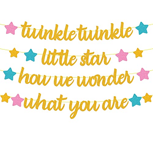 Twinkle Twinkle Llittle Star How We Wonder What You Are Banner Gender Reveal Decorations Boy or Girl He or She Pink Blue Gold Star Baby Shower Party Supplies Glitter Décor Pre-Strung