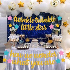 Twinkle Twinkle Llittle Star How We Wonder What You Are Banner Gender Reveal Decorations Boy or Girl He or She Pink Blue Gold Star Baby Shower Party Supplies Glitter Décor Pre-Strung