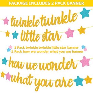 Twinkle Twinkle Llittle Star How We Wonder What You Are Banner Gender Reveal Decorations Boy or Girl He or She Pink Blue Gold Star Baby Shower Party Supplies Glitter Décor Pre-Strung