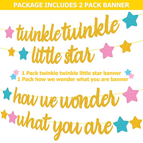 Twinkle Twinkle Llittle Star How We Wonder What You Are Banner Gender Reveal Decorations Boy or Girl He or She Pink Blue Gold Star Baby Shower Party Supplies Glitter Décor Pre-Strung