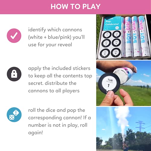 TUR Party Supplies Gender Reveal Roulette Game Kit (Blue, Pink & White) Fool Proof Confetti & Powder Cannons | 100% Biodegradable | 12 inch | Party Poppers for Boy or Girl Baby Shower Decorations