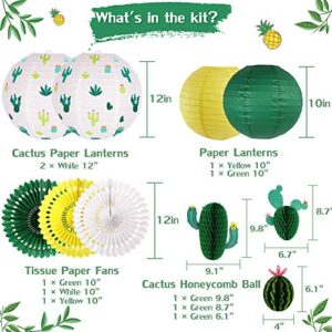 Cactus Party Decorations, Hawaiian Party Supplies Tropical Cactus Hanging Paper Lanterns Cactus Honeycomb Tissue Paper Fans for Llama Birthday Summer Party Home Decoration (Green)