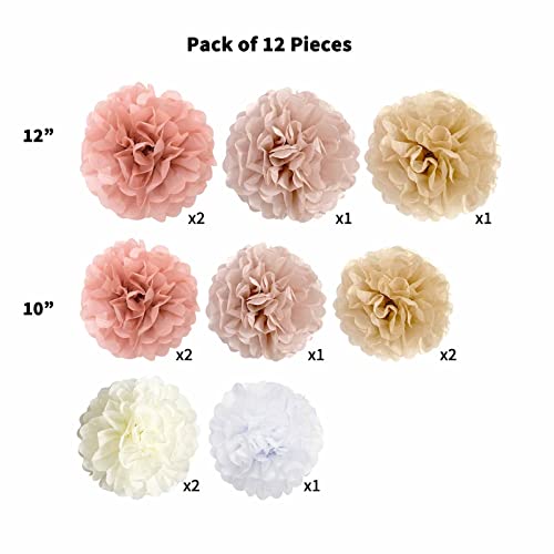 ANSOMO Boho Rainbow Tissue Paper Pom Poms Party Decorations Flowers Wall Hanging Décor Supplies 1st Birthday Bridal Baby Shower Cream Dusty Pink Centerpieces 12 Pcs