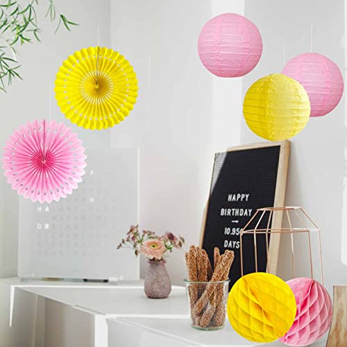 ANSOMO Pink and Yellow Party Decorations Lemon Birthday Bridal Baby Shower Lemonade Sunshine Wedding Wall Hanging Décor Tissue Pom Poms Paper Fans Lanterns