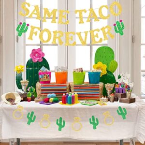 Lesbian Bachelorette Party Decorations, Same Taco Forever Banner, Cactus Diamond Ring Garland for Fiesta Gay Lesbian Wedding Supplies