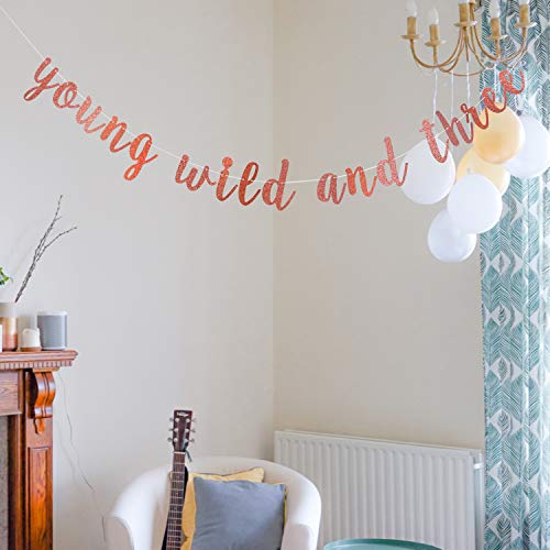 Rose Gold Glitter Young Wild and Three Banner - Happy 3rd Birthday Boy Girl Party Decorations - Great for Baby Shower Boho Tribal Themed 3rd Birthday Party Decor