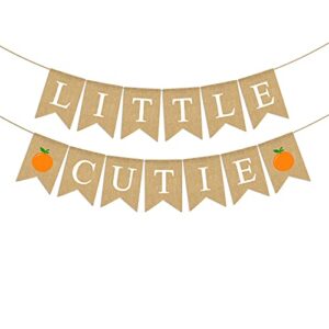 burlap little cutie banner boy girl clementine orange baby shower birthday party decoration