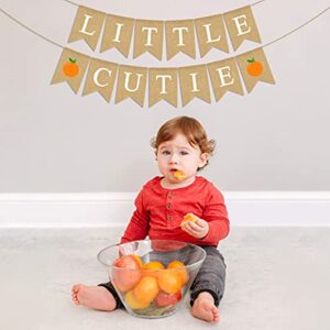 Burlap Little Cutie Banner Boy Girl Clementine Orange Baby Shower Birthday Party Decoration