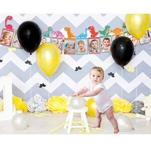 Dinosaur Photo Banner Decorations - Dinosaur Themed Baby Birthday Party Supplies Ornaments for Baby Shower Birthday Decoration 2pcs