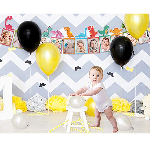 Dinosaur Photo Banner Decorations - Dinosaur Themed Baby Birthday Party Supplies Ornaments for Baby Shower Birthday Decoration 2pcs