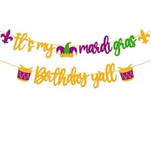 it’s my mardi gras birthday y’all banner carnival fleur de lis shrove fat tuesday new orleans masquerade theme mardi gras party glitter decoration