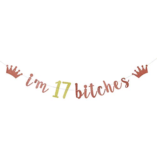 I'm 17 Bitches Banner, 17th Birthday Party Decor, Funny Seventeen Years Old Birthday Banner, Girl's 17th Birthday Party Decorations (Rose Gold)