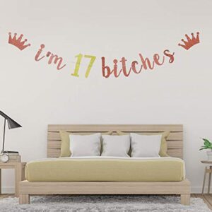 I'm 17 Bitches Banner, 17th Birthday Party Decor, Funny Seventeen Years Old Birthday Banner, Girl's 17th Birthday Party Decorations (Rose Gold)