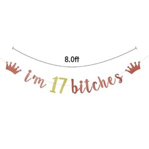 I'm 17 Bitches Banner, 17th Birthday Party Decor, Funny Seventeen Years Old Birthday Banner, Girl's 17th Birthday Party Decorations (Rose Gold)