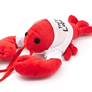 You’re My Lobster Plush Decoration – Cool TV Props Friends Lobster Plush Decoration – Ross Geller Rachel Green Lobster Decoration in Cute White T-Shirt – 8” (20cm) Head to Tail, 6” (15cm) Claw to Claw