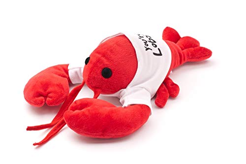 You’re My Lobster Plush Decoration – Cool TV Props Friends Lobster Plush Decoration – Ross Geller Rachel Green Lobster Decoration in Cute White T-Shirt – 8” (20cm) Head to Tail, 6” (15cm) Claw to Claw