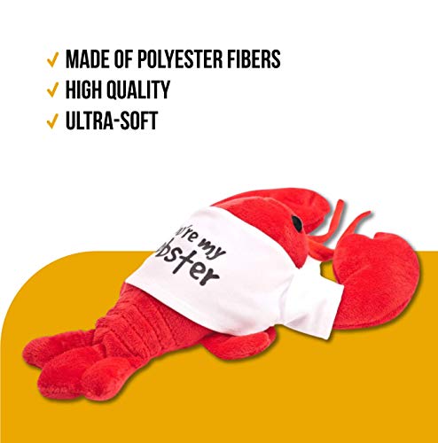 You’re My Lobster Plush Decoration – Cool TV Props Friends Lobster Plush Decoration – Ross Geller Rachel Green Lobster Decoration in Cute White T-Shirt – 8” (20cm) Head to Tail, 6” (15cm) Claw to Claw