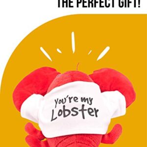 You’re My Lobster Plush Decoration – Cool TV Props Friends Lobster Plush Decoration – Ross Geller Rachel Green Lobster Decoration in Cute White T-Shirt – 8” (20cm) Head to Tail, 6” (15cm) Claw to Claw