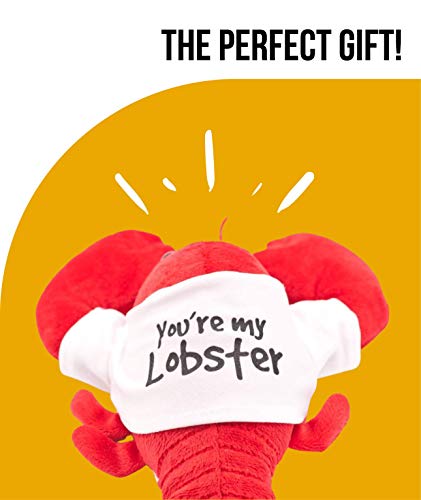 You’re My Lobster Plush Decoration – Cool TV Props Friends Lobster Plush Decoration – Ross Geller Rachel Green Lobster Decoration in Cute White T-Shirt – 8” (20cm) Head to Tail, 6” (15cm) Claw to Claw