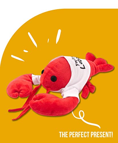 You’re My Lobster Plush Decoration – Cool TV Props Friends Lobster Plush Decoration – Ross Geller Rachel Green Lobster Decoration in Cute White T-Shirt – 8” (20cm) Head to Tail, 6” (15cm) Claw to Claw