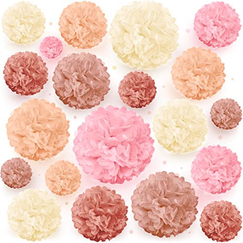 Avoseta Tissue Paper Pom Poms - Set of 20 - Sizes of 6", 8", 10", 14" - Party Decorations for Birthdays, Weddings and Special Occasions - Blush Pink, Coral Peach, Dusty Rose, Sienna Red, Cream