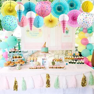 Donut Birthday Party Decorations, Ice Cream Party Decorations Donut Paper Lanterns Ice Cream Honeycomb Balls Paper Fans for Baby Shower Kids Birthday Party Donut Grow Up Party Supplies