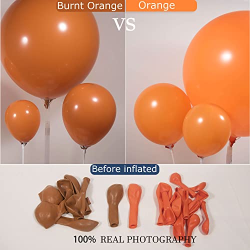 Kozee Burnt orange Balloons different Sizes 105Pack 18/12/10/5 inch dark orange balloon for Fall Wedding garland Pumpkin Festival Halloween Decorations