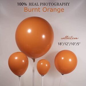 Kozee Burnt orange Balloons different Sizes 105Pack 18/12/10/5 inch dark orange balloon for Fall Wedding garland Pumpkin Festival Halloween Decorations