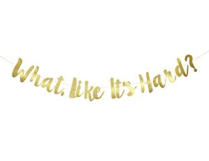 what like it’s hard？banner，law school graduation banner, law school acceptance, entrance decorations, funny graduation decorations, party banner