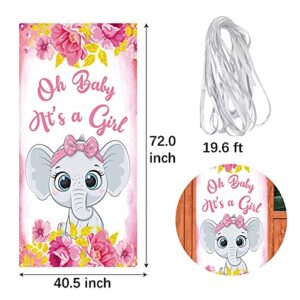 Dill-Dall Girl Baby Shower Door Banner, Oh Baby It's A Girl Sign, Girl Baby Shower / Gender Reveal / Welcome Baby Photography Background