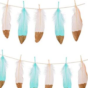 Hapy Shop Feather Garland Pale Pink and Blue Feather Banner,Gold Glitter for Party Decorations,Wedding,Boho Chic,10 feet