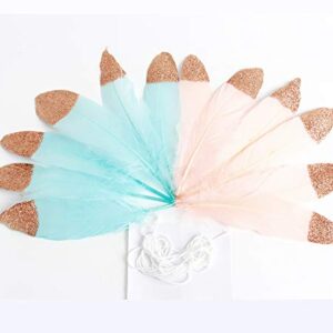 Hapy Shop Feather Garland Pale Pink and Blue Feather Banner,Gold Glitter for Party Decorations,Wedding,Boho Chic,10 feet